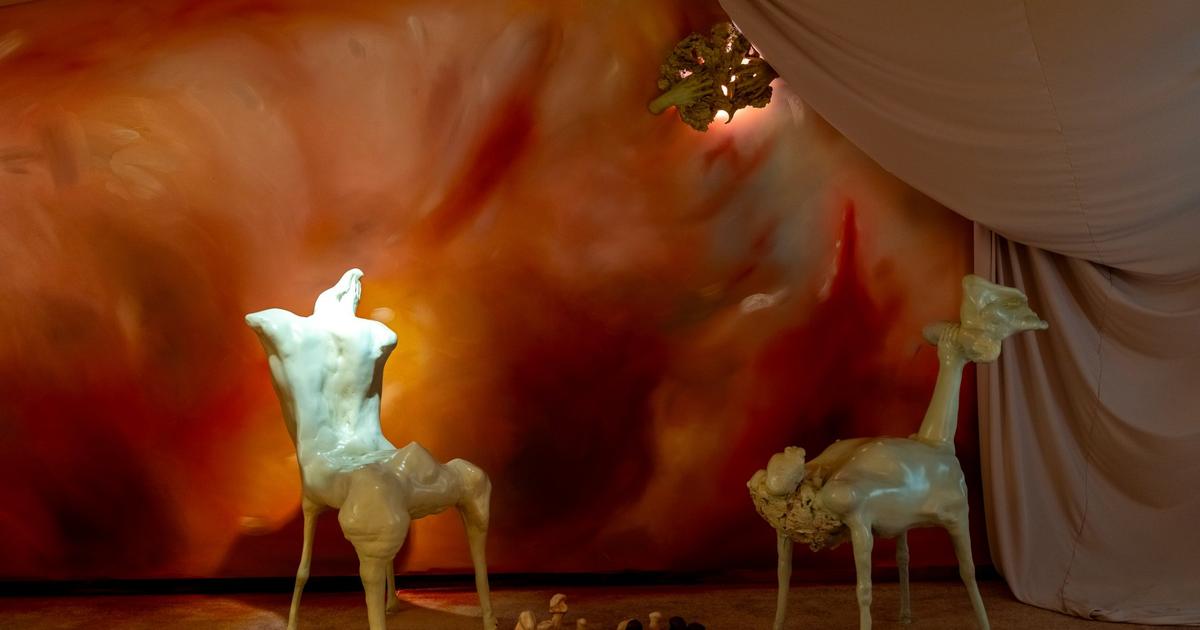 V.O Curations – Oda Jaune